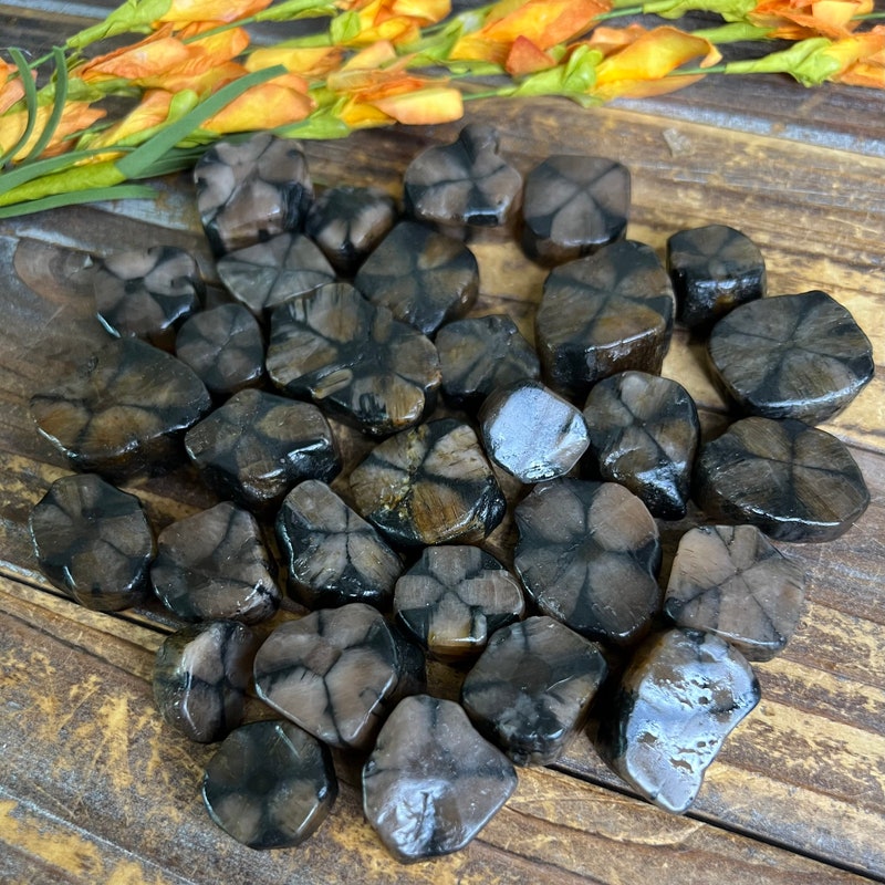 Chiastolite - Etsy