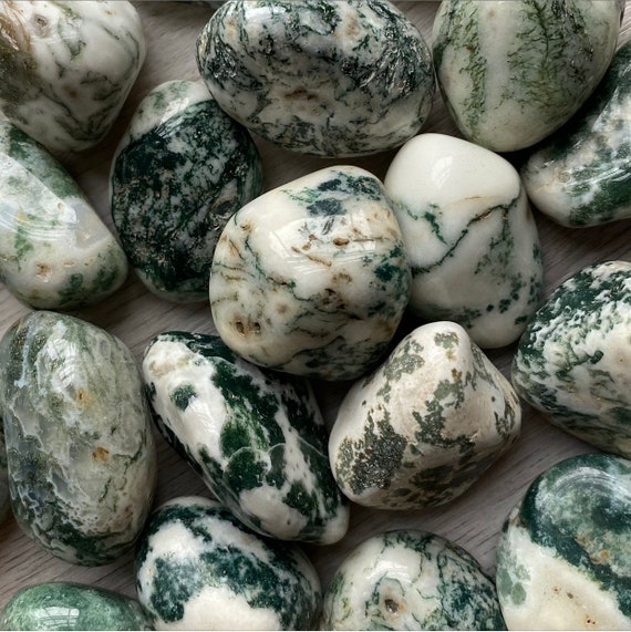 Tree Agate Tumbled Crystals | Etsy