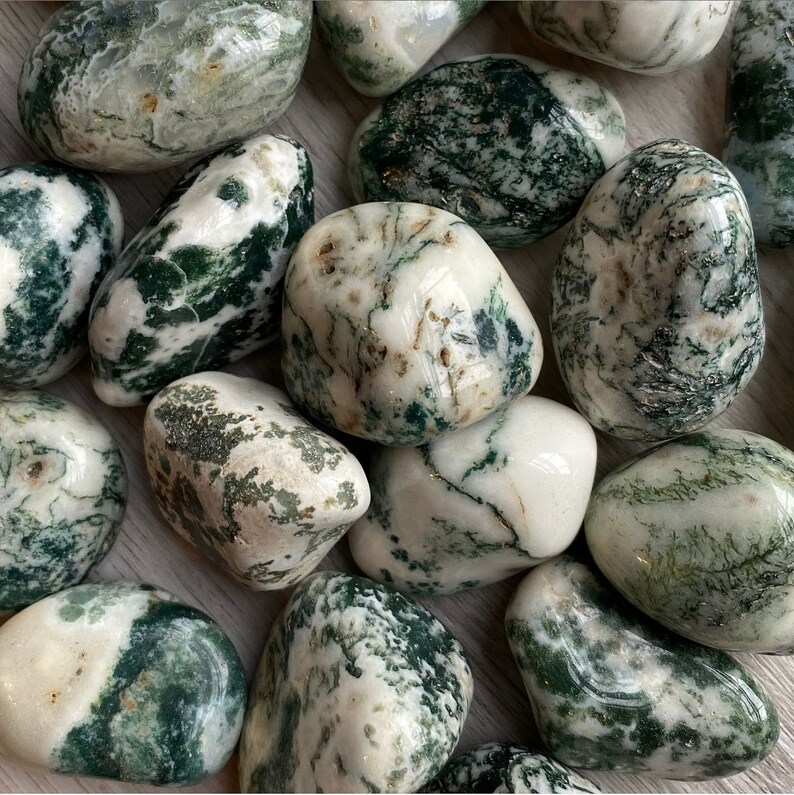 Tree Agate Tumbled Crystals | Etsy