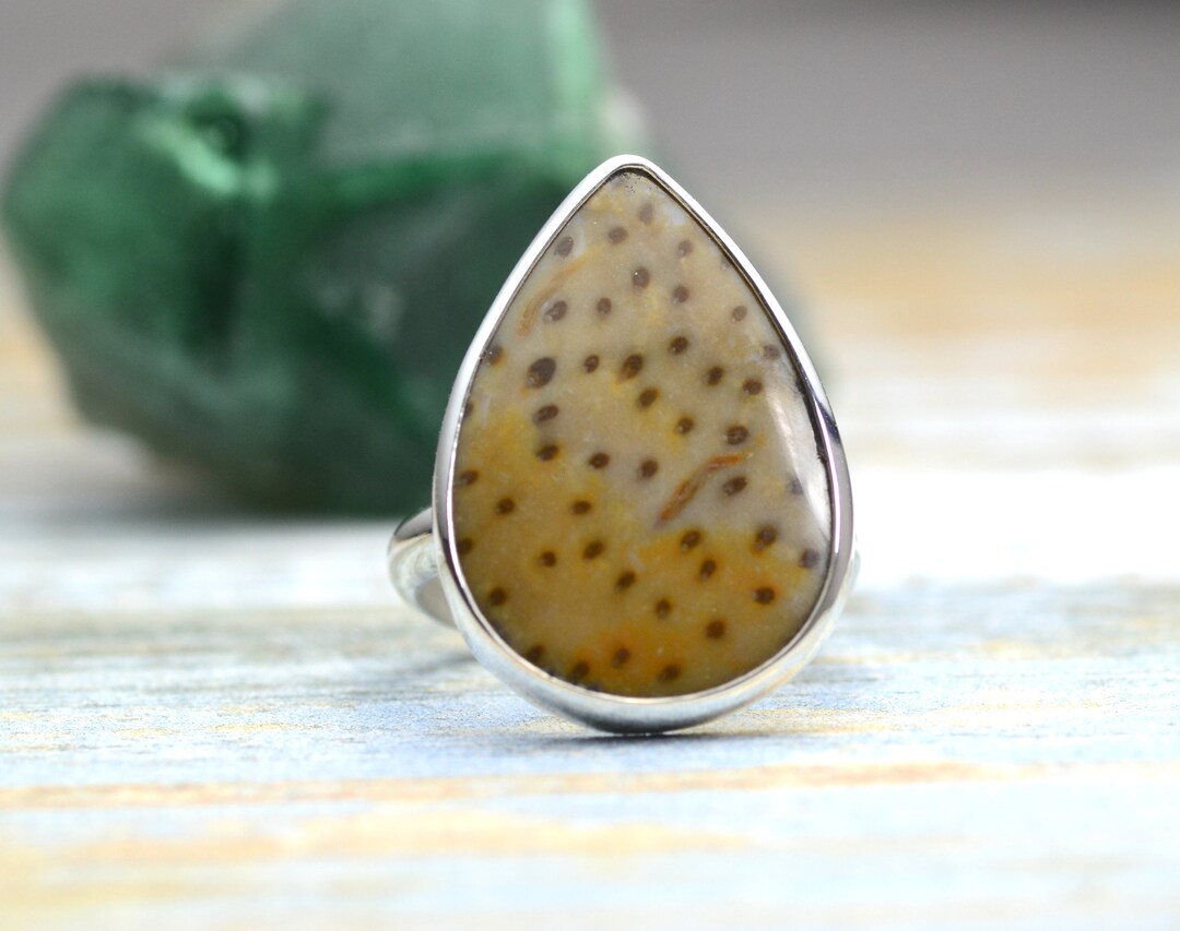 Cambrian Age Ring, Size 7, Fossil Palmwood Ring, Sterling Silver ...