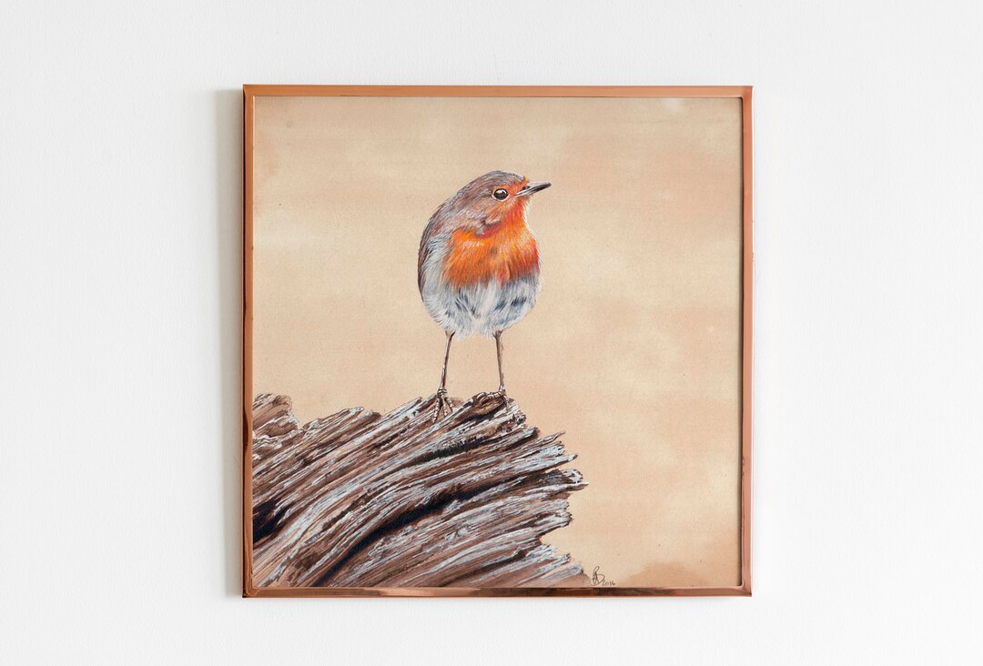 Robin Print, Robin Art, Robin Wall Decor, - Etsy UK