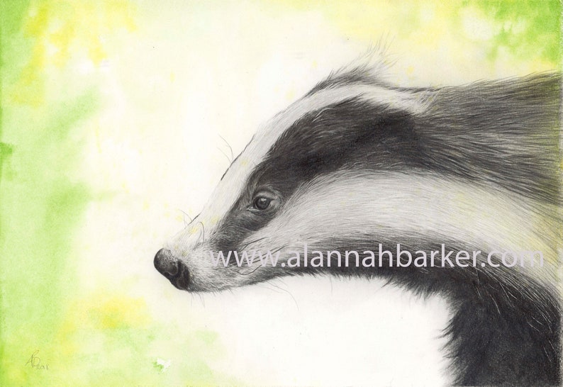 Badger Print, Badger Art, Badger Drawing, - Etsy