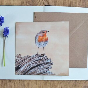 Robin Card, Robin Picture, Robin Drawing, Robin Art, Birthday Card ...