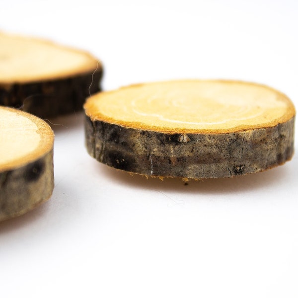 Wood Magnet Set - Etsy