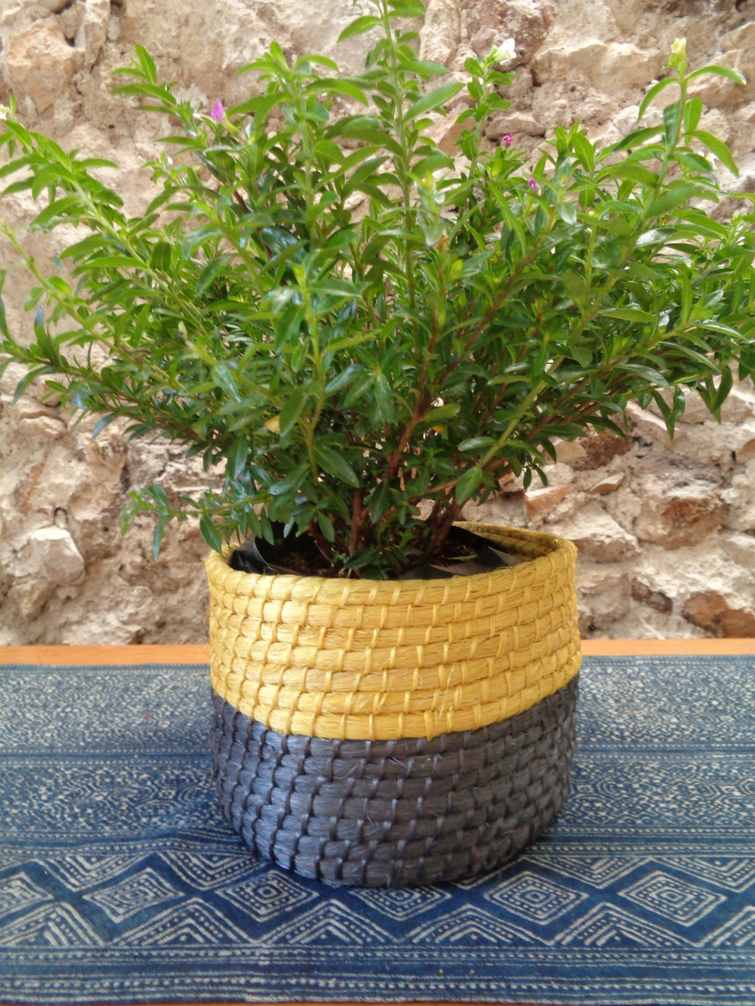 Henequen Basket From Yucatan Planting Pot Handwoven Sisal - Etsy
