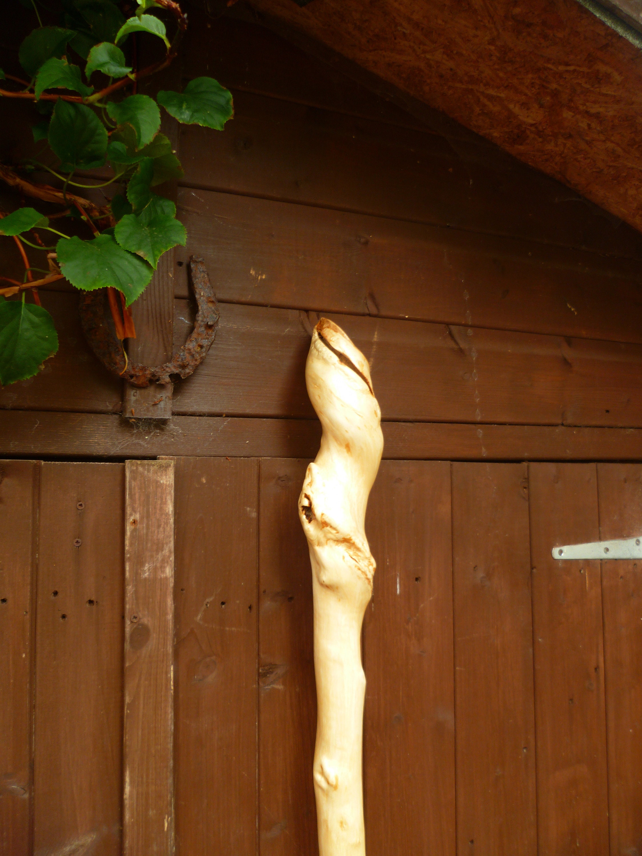 Gnarled Wooden Staff