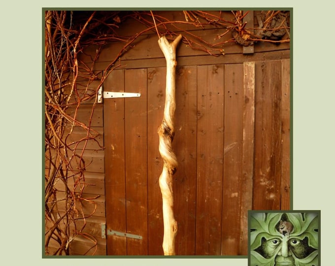 Spiritual Staff. Handmade in Naturally Twisted and Spalted Beech Wood ...