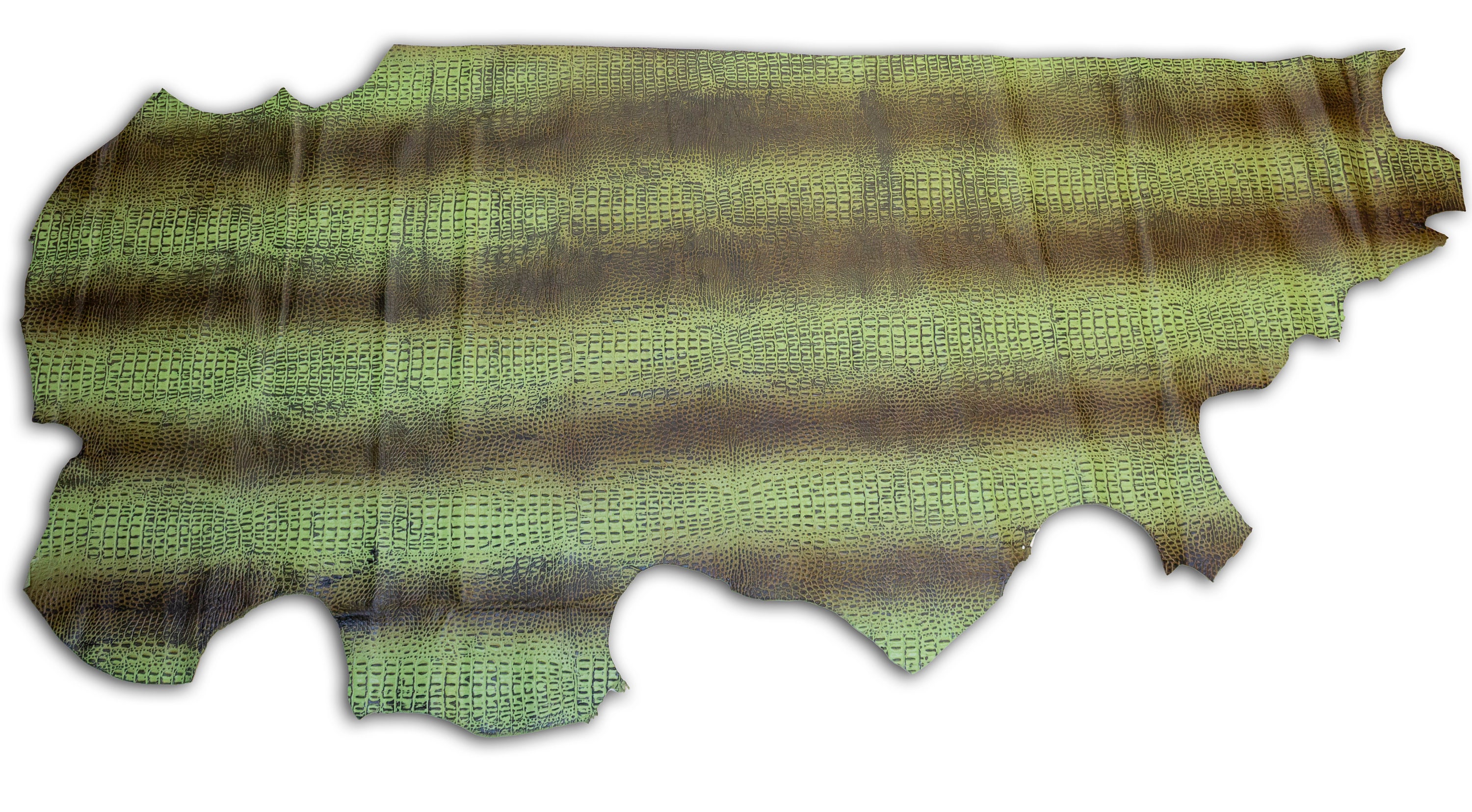 Lime Brown Alligator Embossed Leather - Etsy