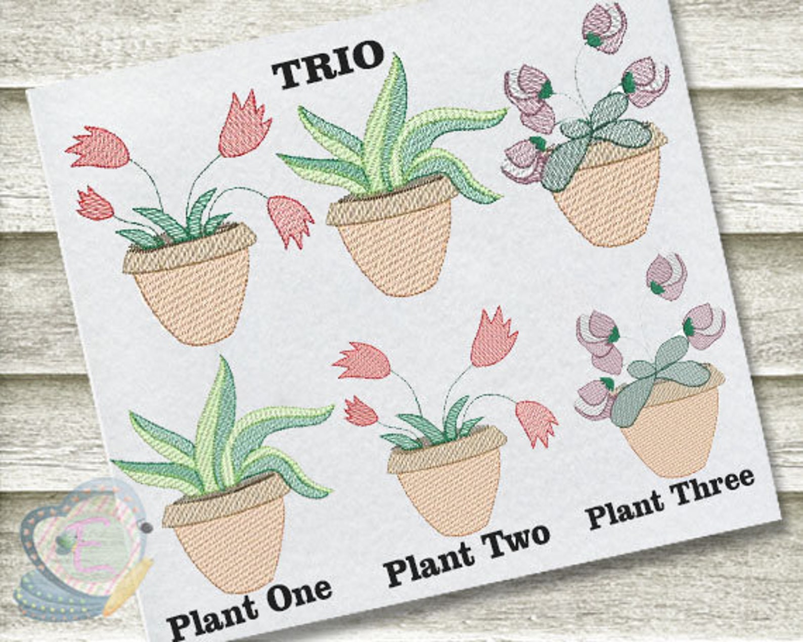 Plant Sketch Stitch Collection Set Digital Machine Embroidery - Etsy