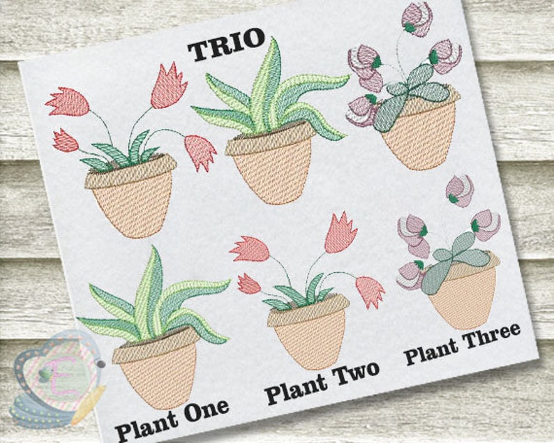 Plant Sketch Stitch Collection Set Digital Machine Embroidery | Etsy