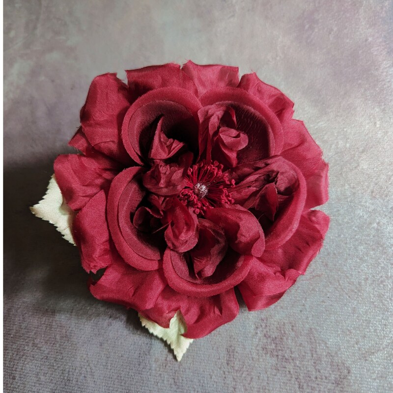 David Austin Roses - Etsy