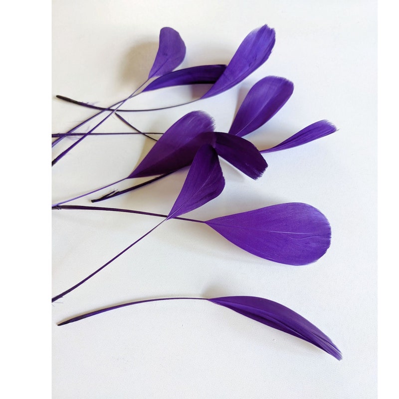 Purple Feathers - Etsy