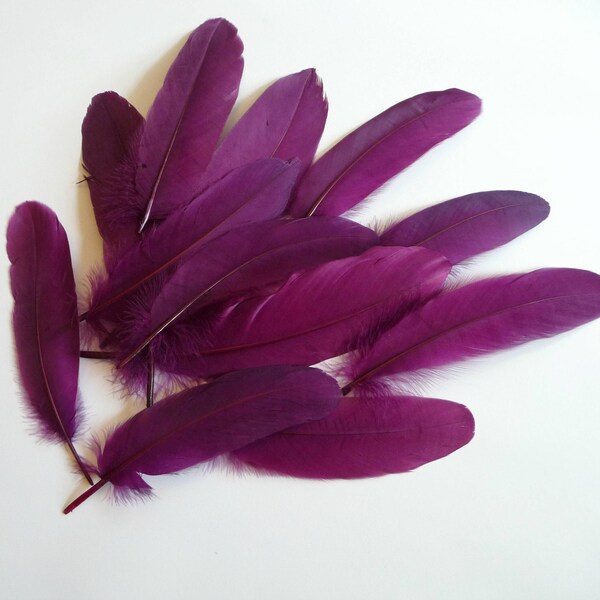 Purple Feathers - Etsy