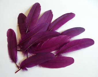 Set of 5 Purple on Gold Curled Goose Feather Pads - Etsy