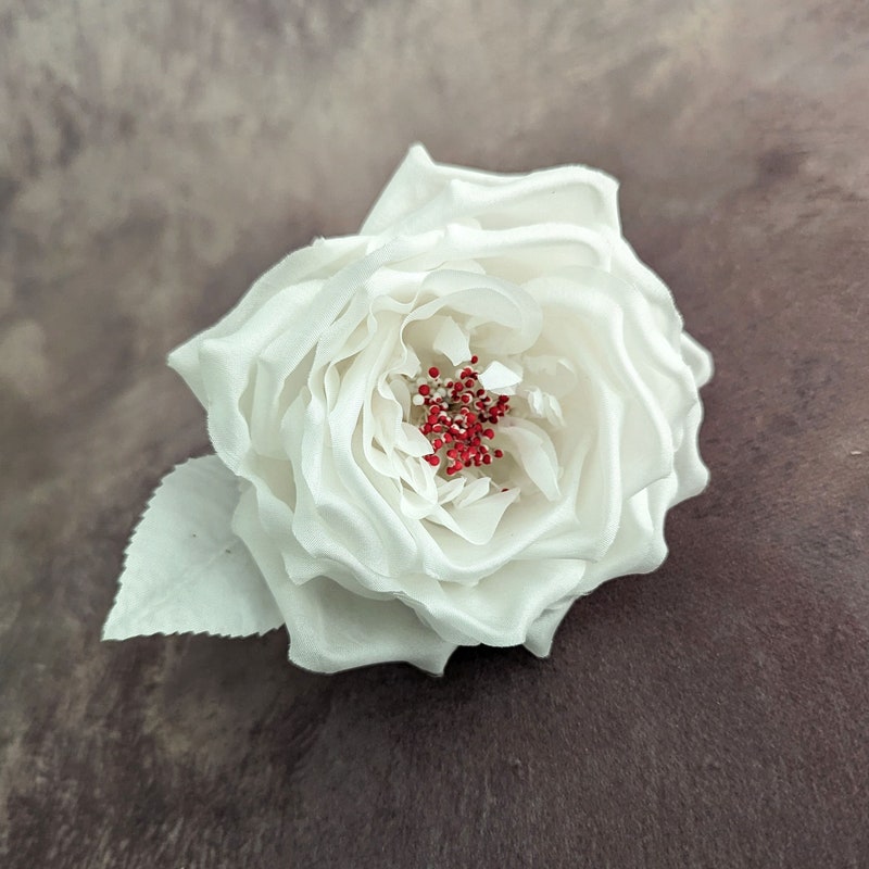 White Cabbage Rose - Etsy