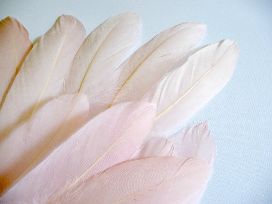 Blush Pink Goose Feathers Dyed Millinery Goose Satinettes Trim - Etsy