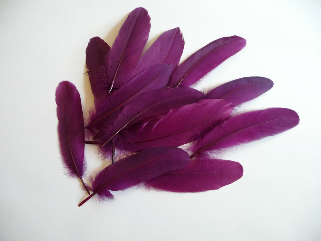 Plum Purple Goose Feathers Dyed Millinery Goose Satinettes Trim for ...