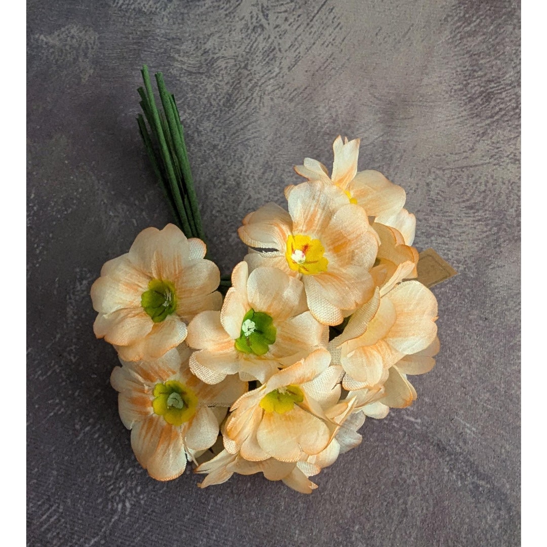 Vintage Primrose Nosegay One Dozen Shaded Orange Peach Apricot ...