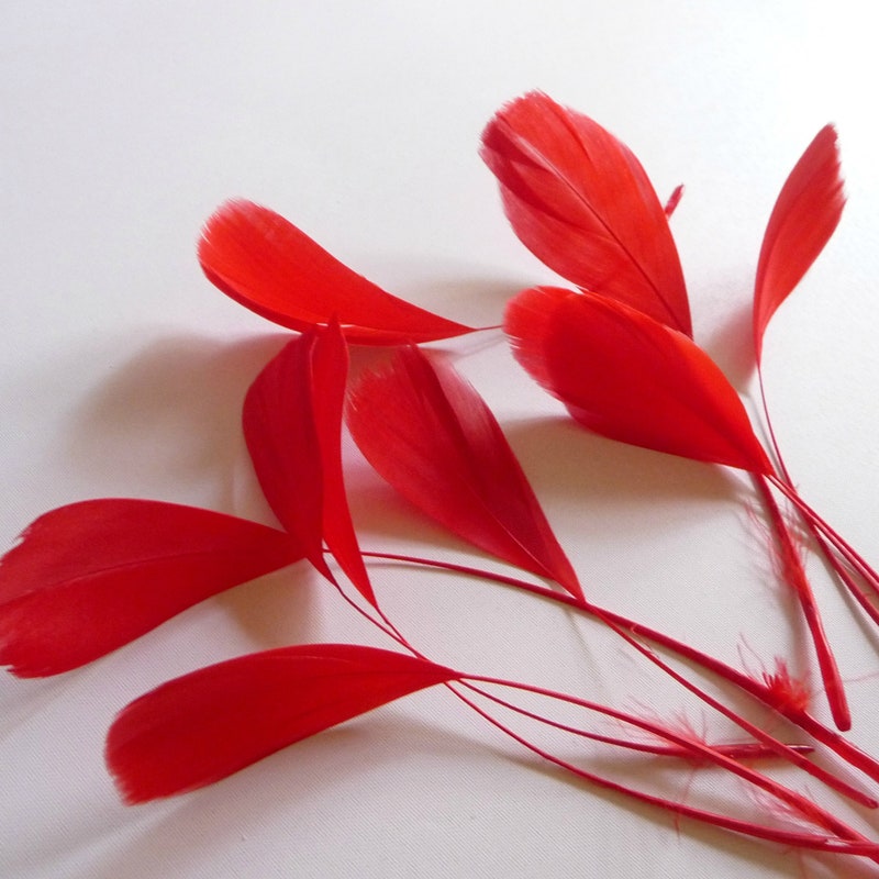 Red Feathers - Etsy