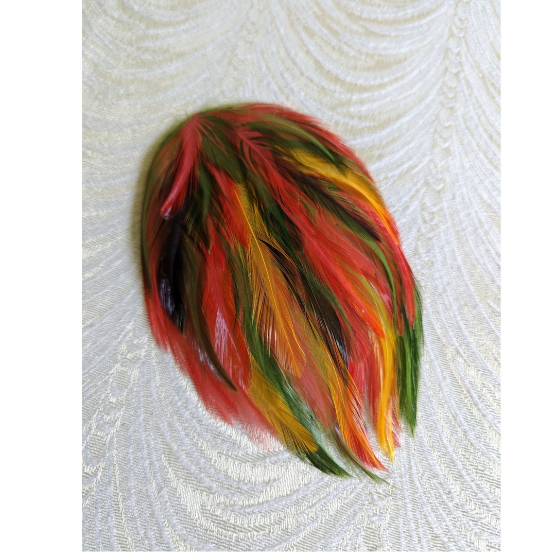 Vintage Red Green Gold Feather Pad Millinery Decoration Hackle Feathers ...