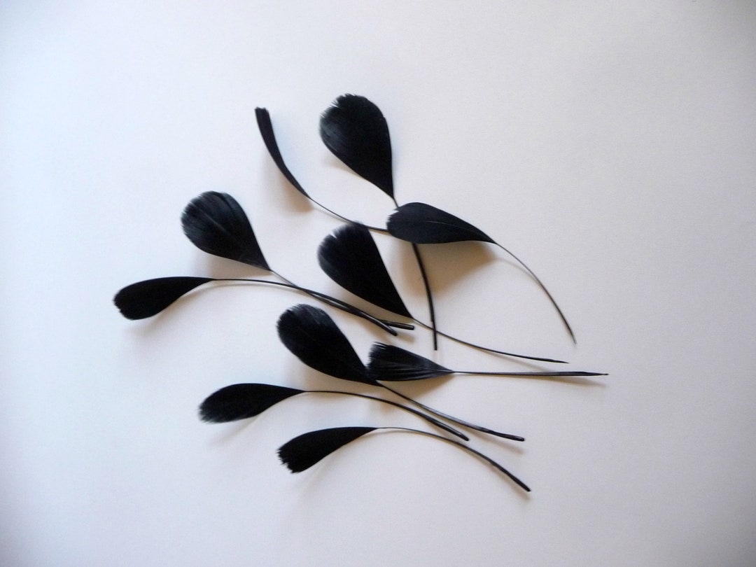 10 Black Stripped Coque Feathers Small Dyed and Trimmed Millinery for ...