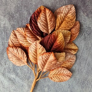 Larger Leaf Velvet Leaves Apricot Orange Rust Ombre Millinery Beautiful ...