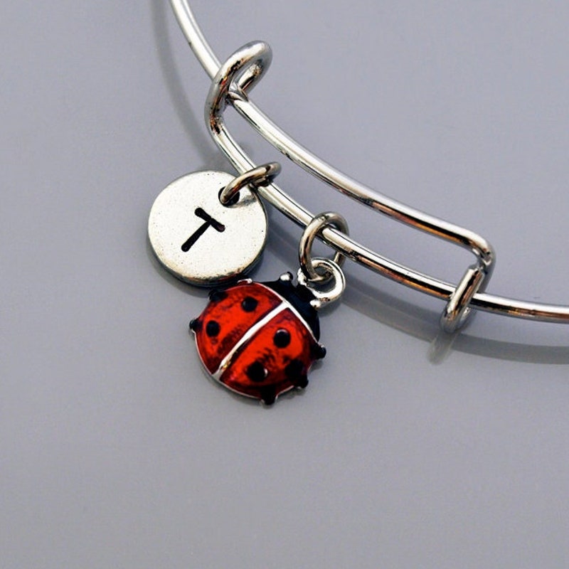 Ladybug Charms - Etsy