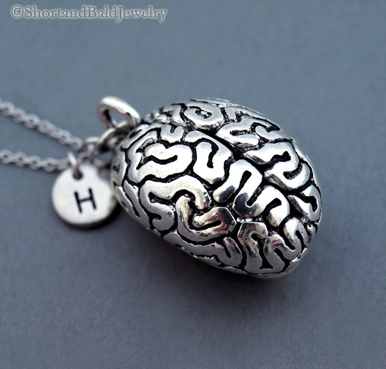 Human Brain Necklace Brain Charm Anatomy Charm Anatomy - Etsy