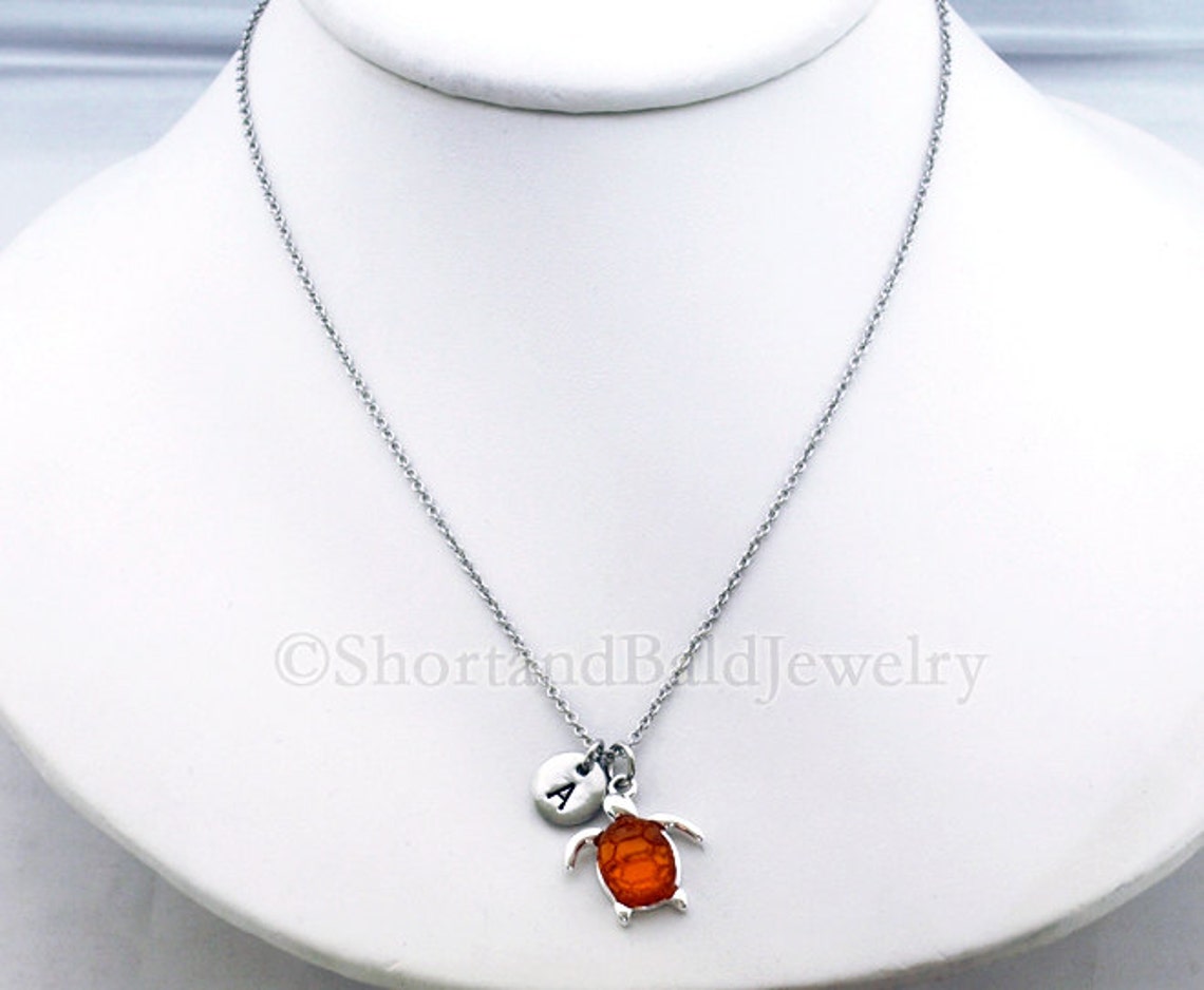 Turtle Necklace Brown Shell Turtle Silver Turtle Antique - Etsy