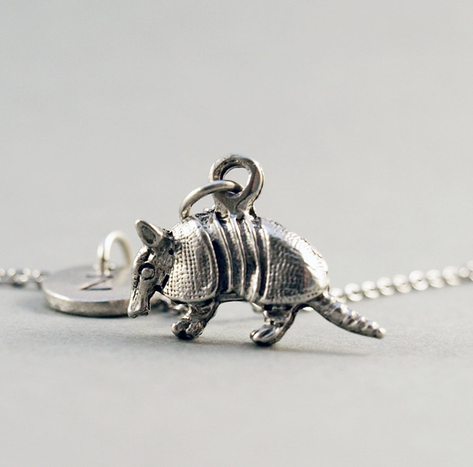 Armadillo Necklace Armadillo Charm Ant Eater Aardvark | Etsy
