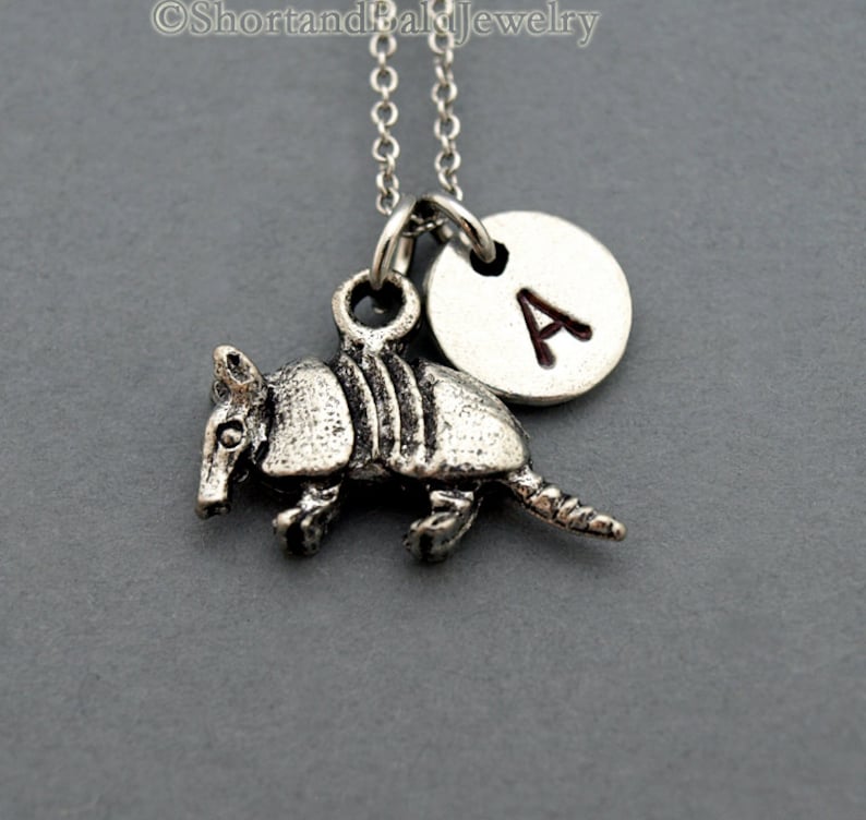 Armadillo Necklace Armadillo Charm Ant Eater Aardvark | Etsy