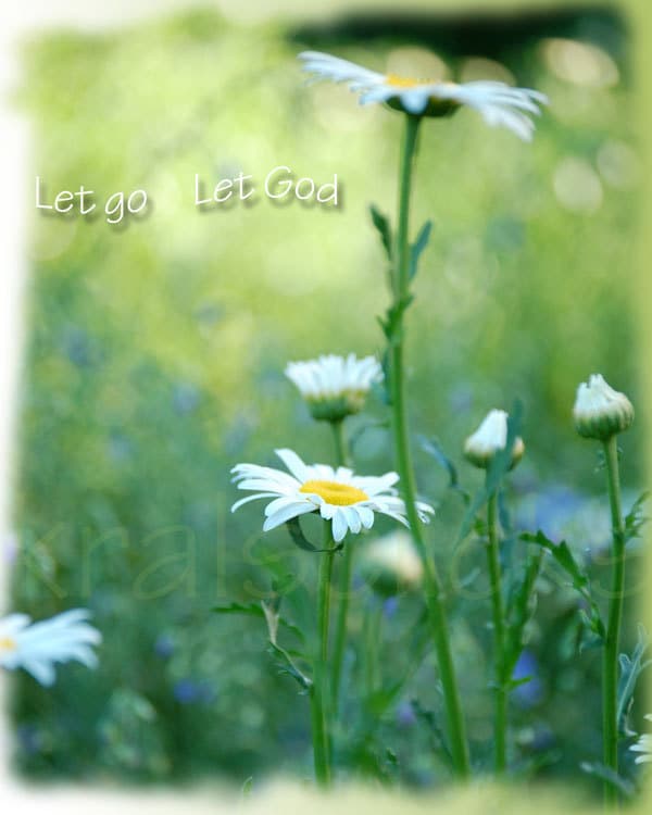 Let Go Let God, Nature Photograph Daisy Green, Digital Art, Fine Art ...