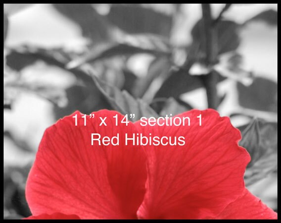 Red Hibiscus Photographs, 3 Piece Print Set, Black White Red, Table Top ...