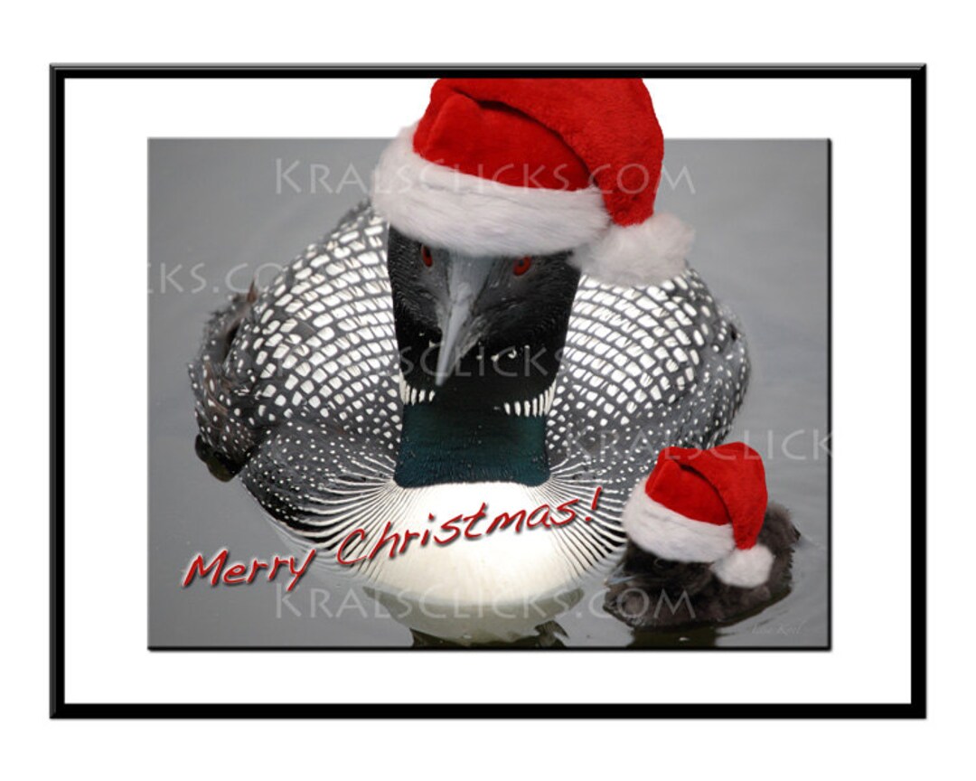 Merry Christmas Photograph Loon Cabin up North Wall Decor Holiday Fine ...