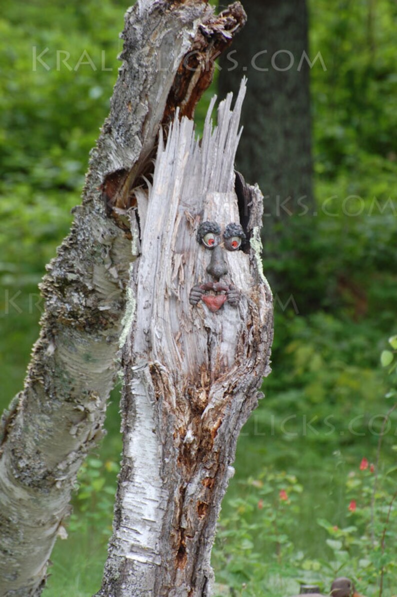 Rustic Photograph, Whimsical, Landscape Photography, Funny Face, Humor ...