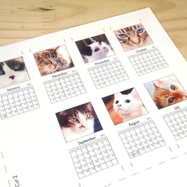 Cat Calendar - Etsy