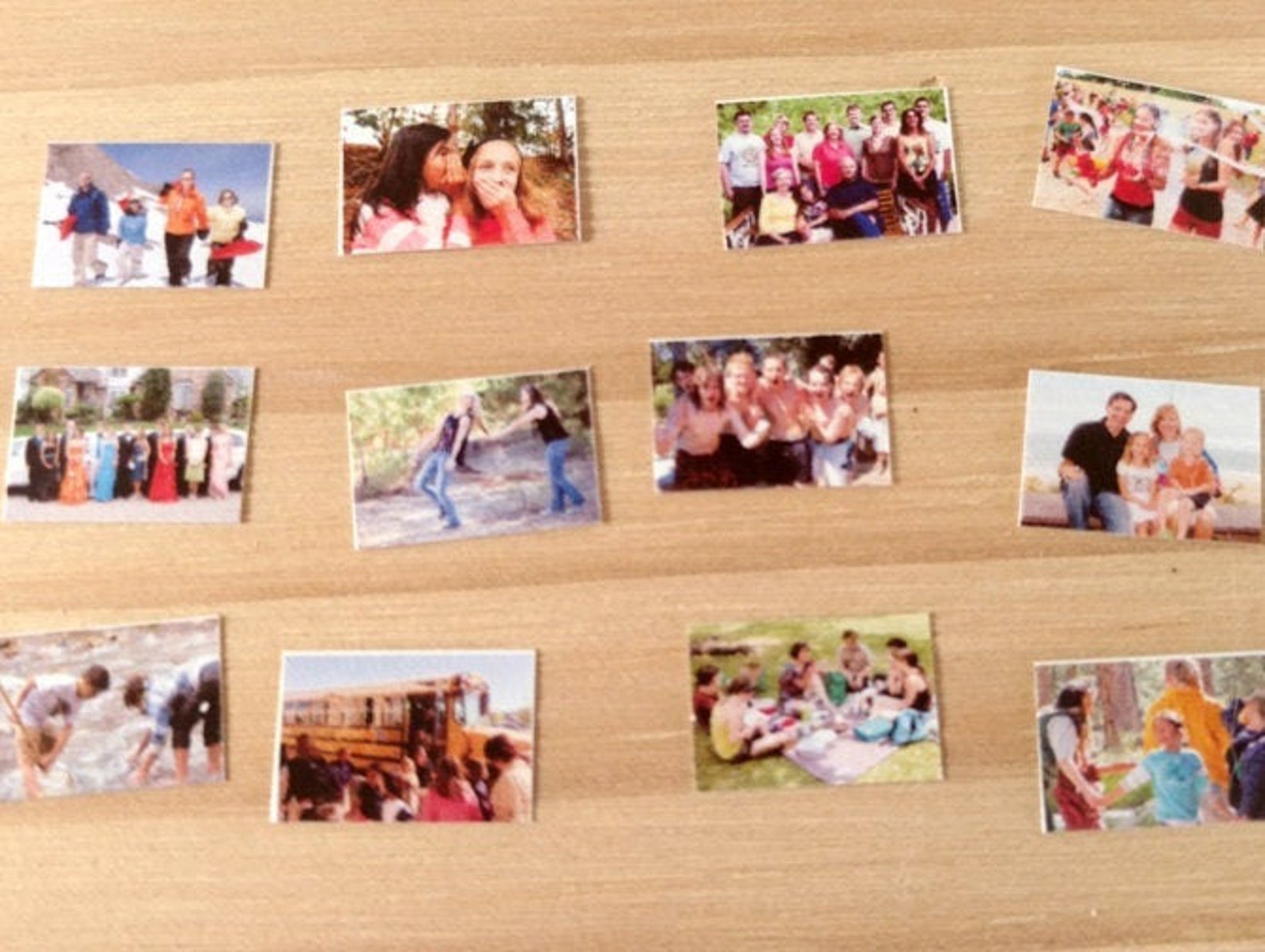 Mini Friends Photos for Dolls | Set of 12 Miniature Pet Pictures ...