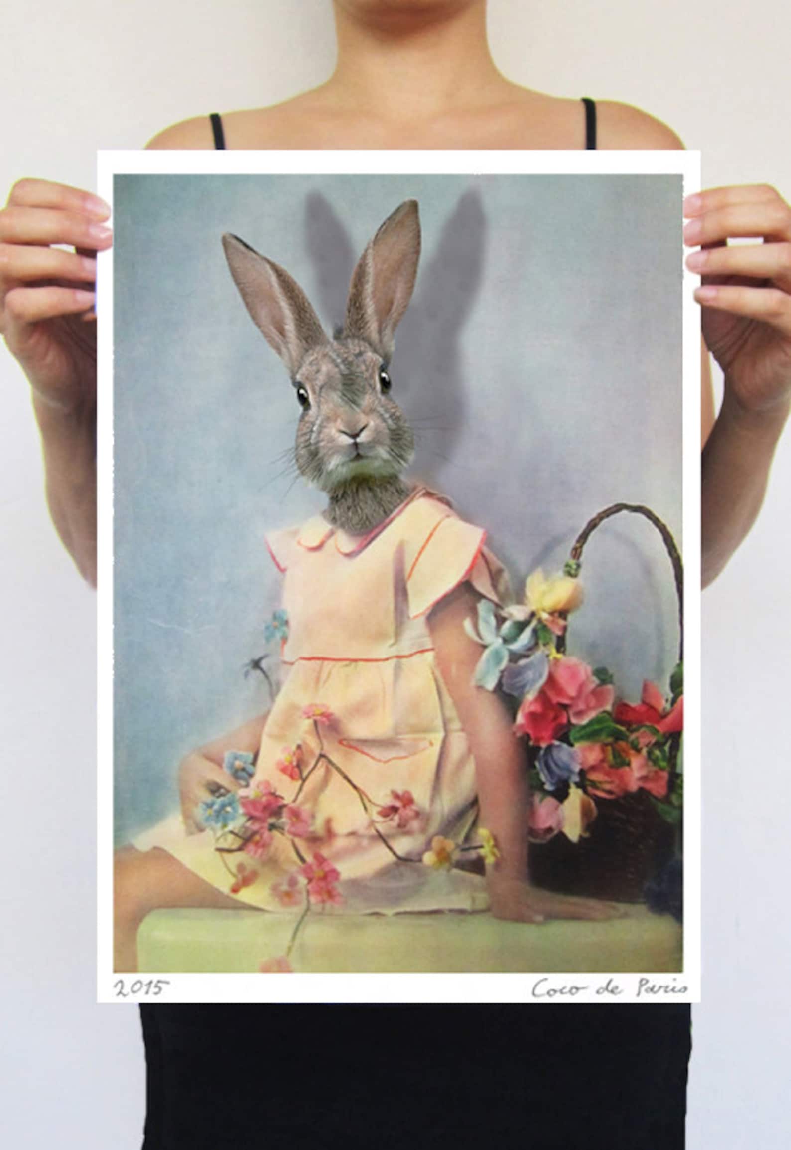 Rabbit Print Rabbit Art Print Rabbit Bunny Print Rabbit | Etsy