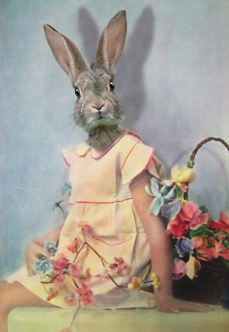 Rabbit Print Rabbit Art Print Rabbit Bunny Print Rabbit - Etsy