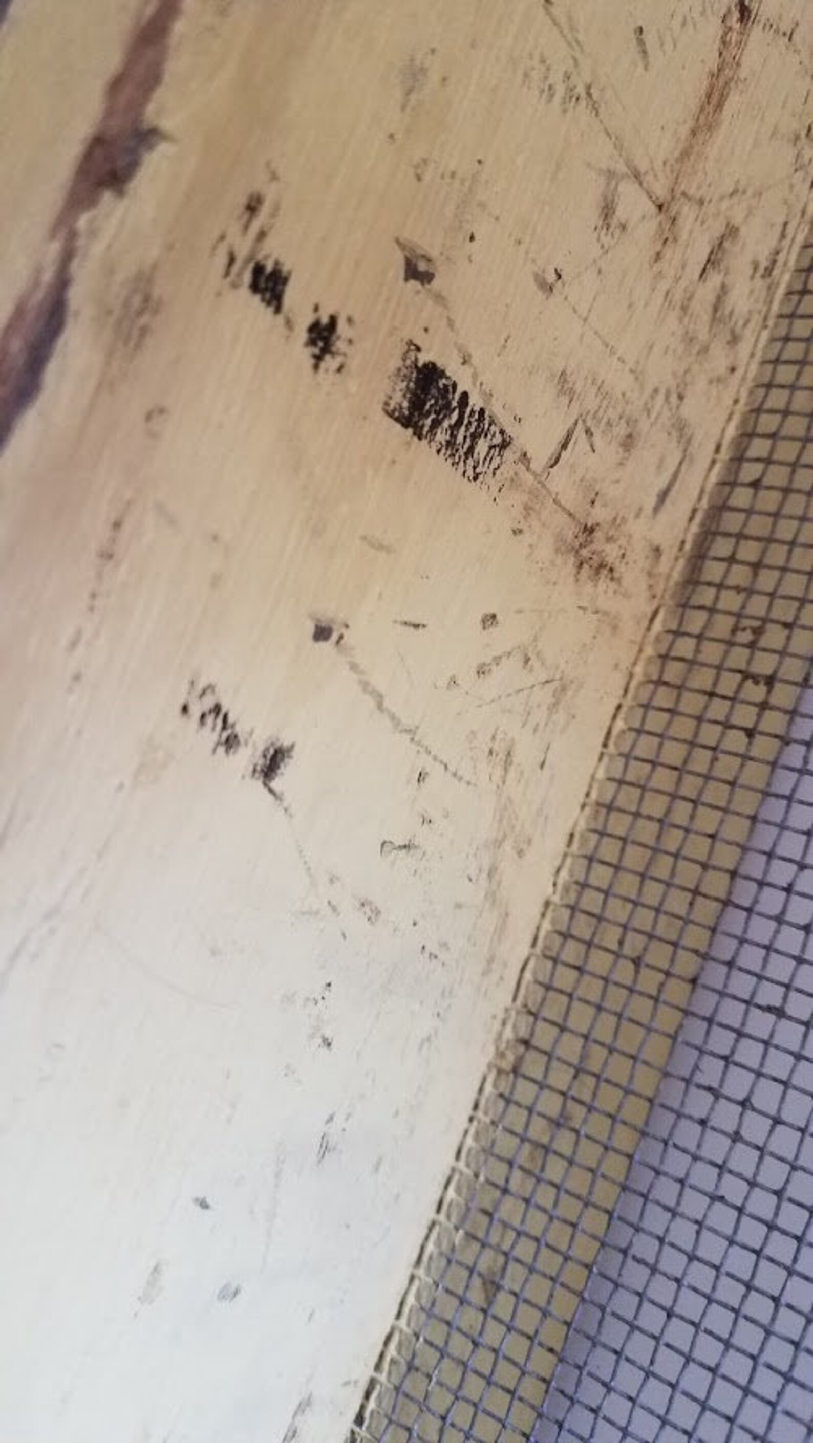 Wood Box Painted Yellow With Screen Bottom - Etsy