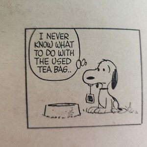 Vintage "all This and Snoopy, Too" Paperback Book Dated 1962 by Charles ...