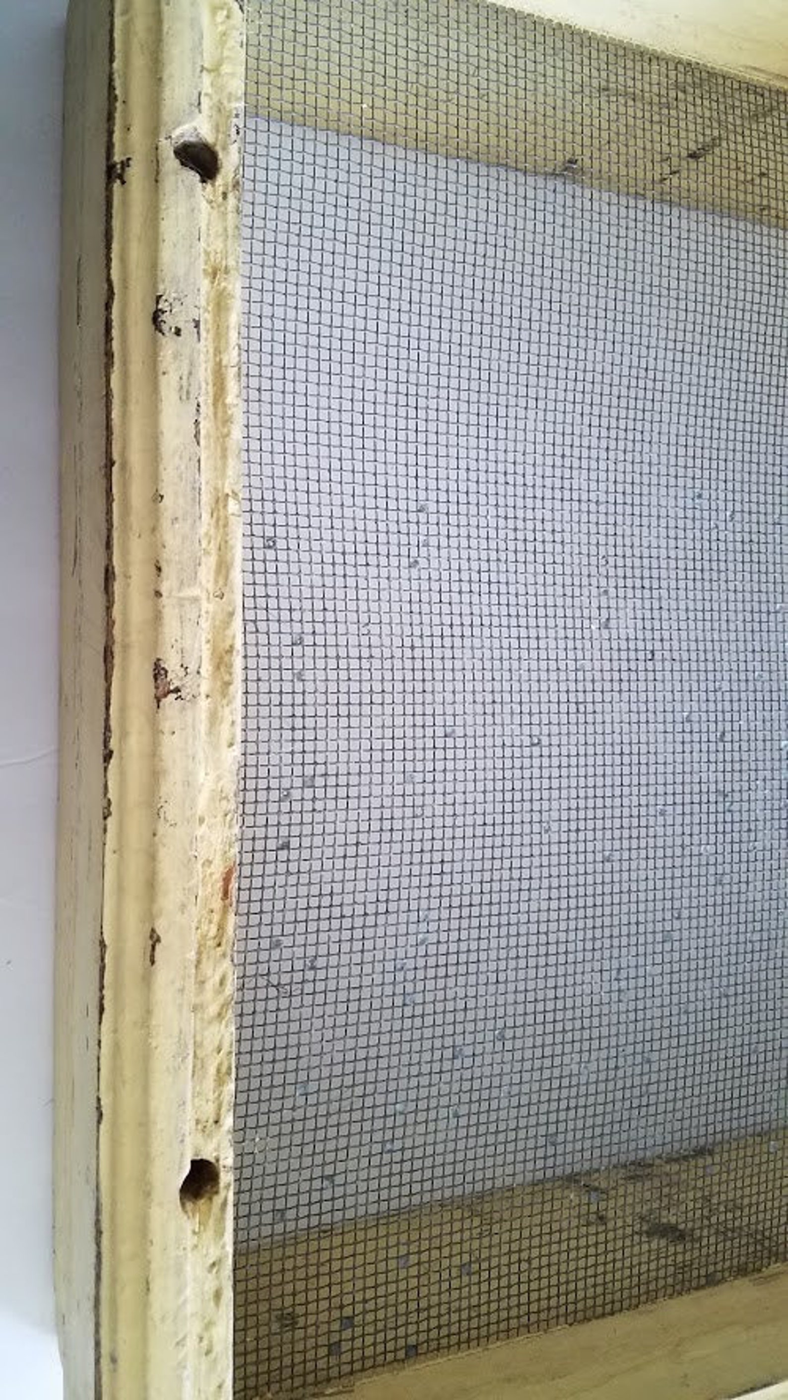 Wood Box Painted Yellow With Screen Bottom - Etsy