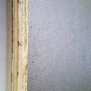 Wood Box Painted Yellow With Screen Bottom - Etsy