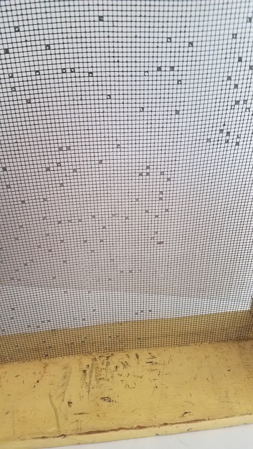 Wood Box Painted Yellow With Screen Bottom - Etsy