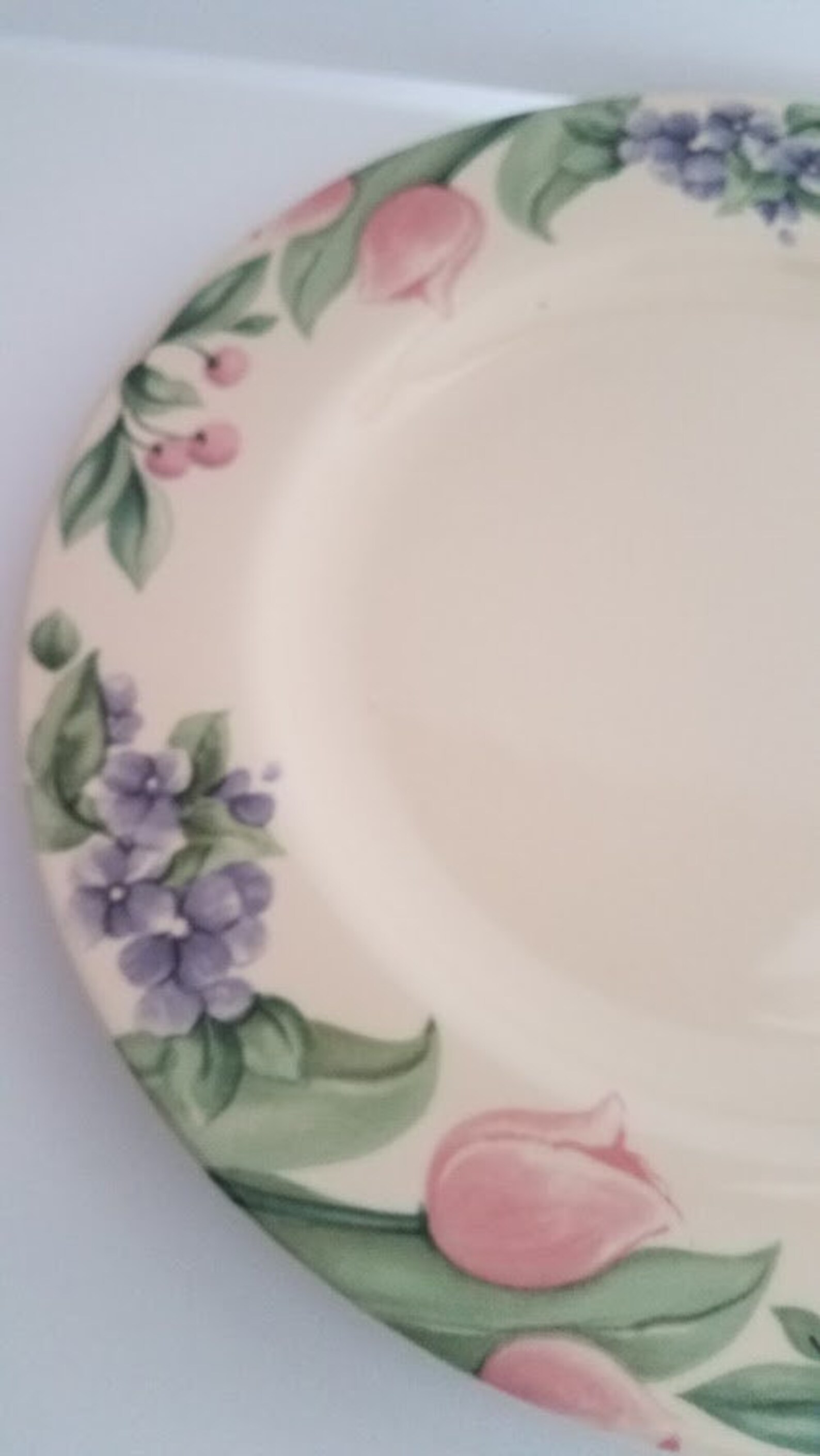 Pfaltzgraff Garden Party Garden Impressions Dinner Plate | Etsy