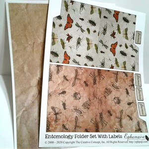Junk Journal Printable - ENTOMOLOGY - Nested Folder Set - Printable ...