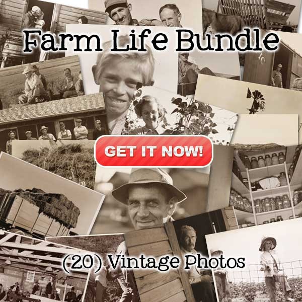 Farm Life Photo - Etsy