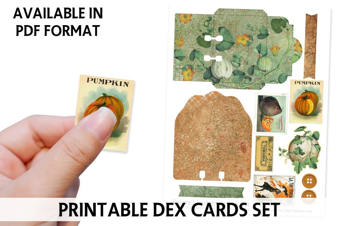 Printable DEX Cards With Ephemera - Pumpkin Dex Card - Dex Card ...