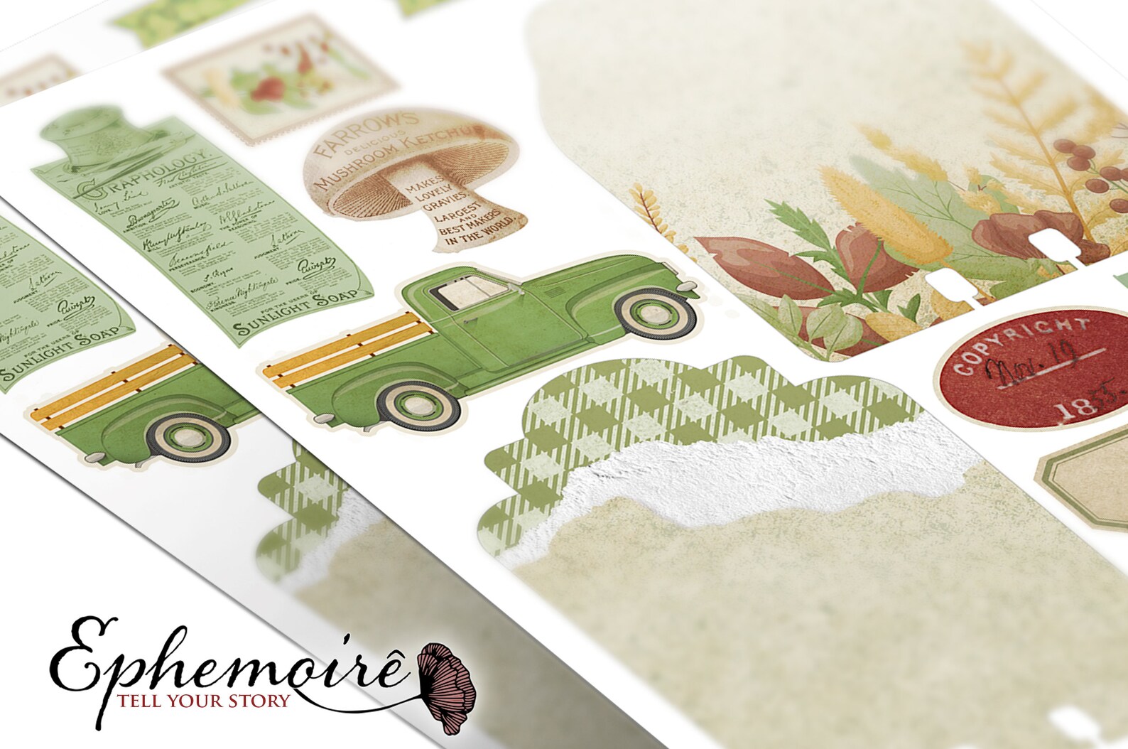 Printable DEX Cards With Ephemera Fall Dex Card Autumn Dex Card ...