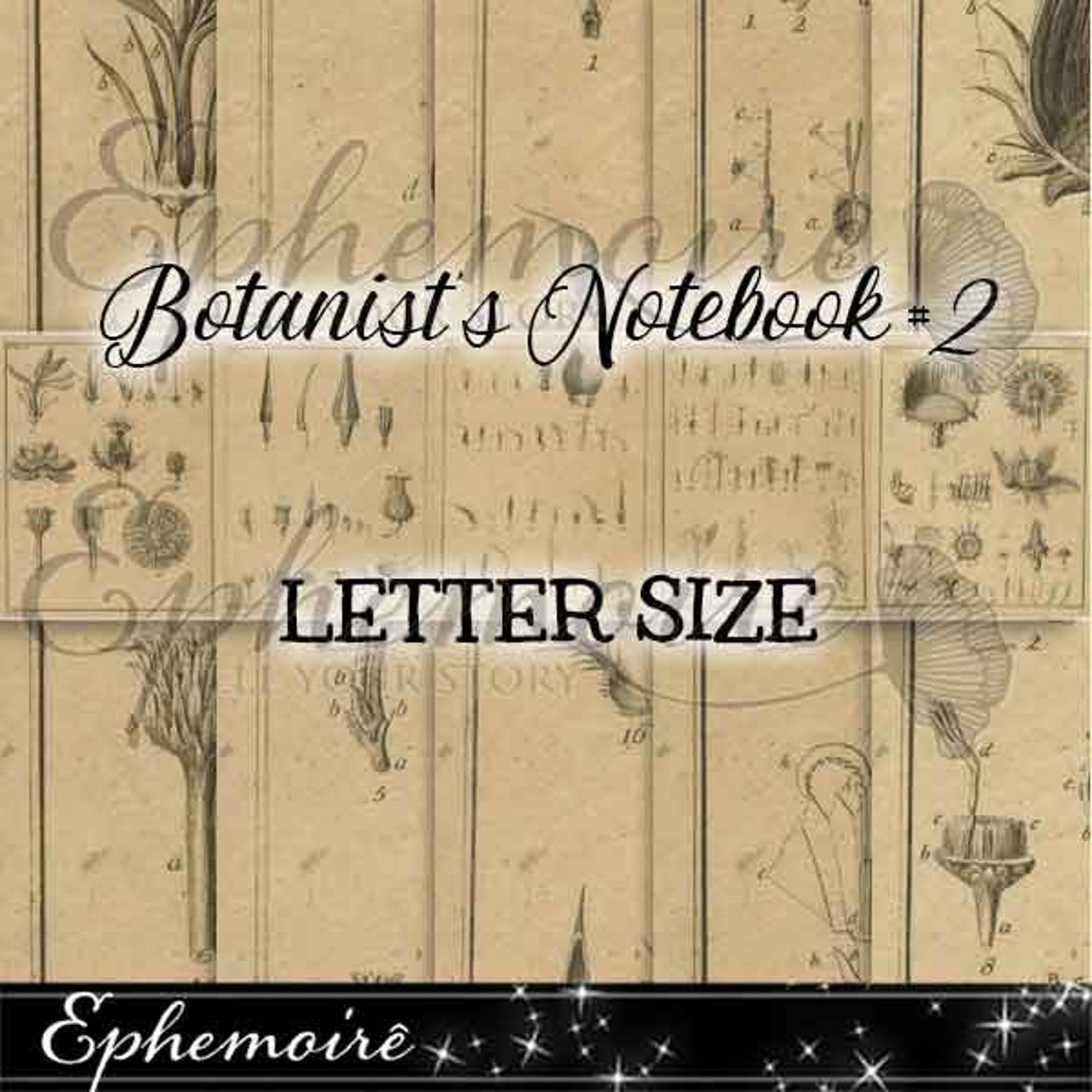 Digital Printable Papers Botanist Notebook Letter Sized - Etsy